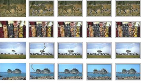 segmentation results for some sample images by the four segmentation
