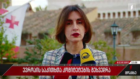 ევროპის საკითხთა კომიტეტების შეხვედრა Youtube