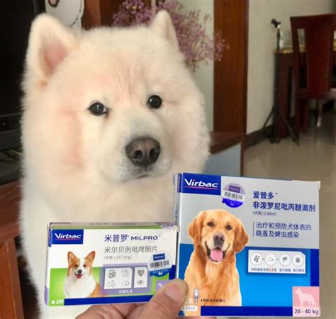 宠物界驱虫新宠介绍 法国维克驱虫药内驱米普罗和外驱爱普多 知乎