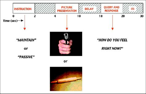 Trial Design The Maintain Or Passive Instruction Was Presented
