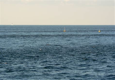 Nonlinear Internal Waves Ocean Mixing Group