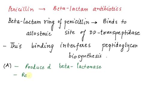 Solved Pls Question 37 Bacteria By Binding To The Bacterial Enzyme