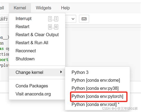 【工具】jupyter切换kernel（虚拟环境）jupyter Kernel Csdn博客