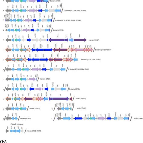 Class 1 And Class 2 Integron Structures A Class 1 A R And Class 2