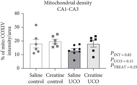 Mitochondrial Density And Cytochrome C Release The Ratio Of Download Scientific Diagram