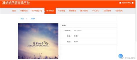 基于javaspringbootvue的准妈妈孕期交流平台（源码文档） Csdn博客