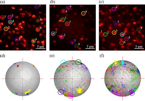 Spatially And Temporally Resolved Heterogeneities In A Miscible Polymer Blend Acs Omega