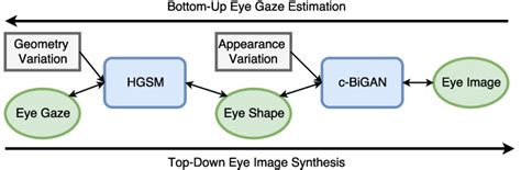 Overview Of Hierarchical Generative Model Download Scientific Diagram