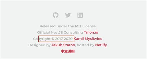 Not Current Date · Issue 30 · Nestjs · Github