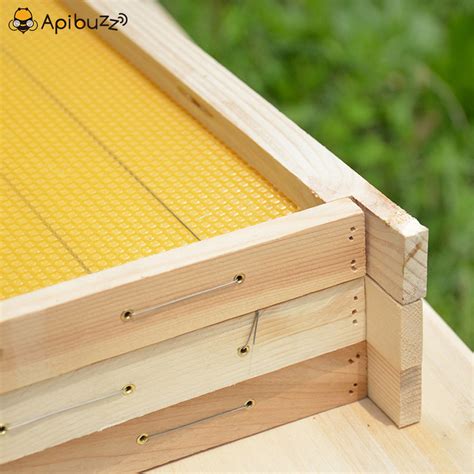Frame Assembly Bee Hives At Amy Whitehurst Blog