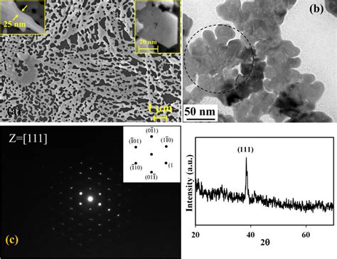 A Sem Image Of The Synthesized Silver Nanosheet The Inset On The Download Scientific Diagram
