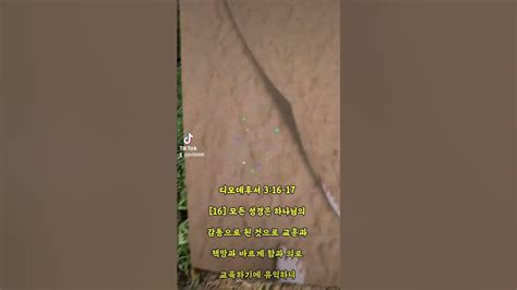 행복한 동행 함께 걸어요 ️ Youtube