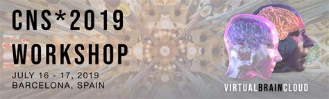 Brain Simulation Section Cns 2019 Workshop In Barcelona