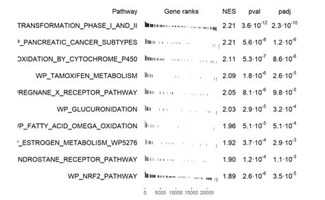 Dk的小站 Fgsea快速富集分析