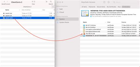 How To Use Self Signing Certificate And Regenerate Endpoint Protector