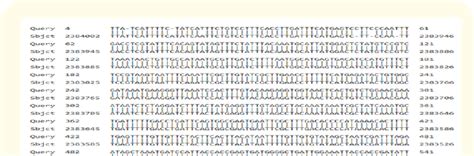 The Pair Wise Sequence Alignment At Nucleotide Level Hlg Gene Download Scientific Diagram