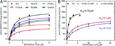 Mutagenesis Based Testing Of Md Simulations Results Analysis Of The