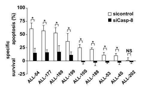 Functional Impact Of The Efficient Sirna Interference N 9 All Cells Download Scientific