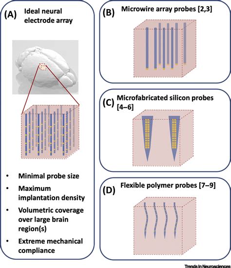 Spikes To Pixels Camera Chips For Large Scale Electrophysiology Trends In Neurosciences