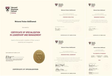 Mohammad Shaban On Linkedin Specializationinleadershipand