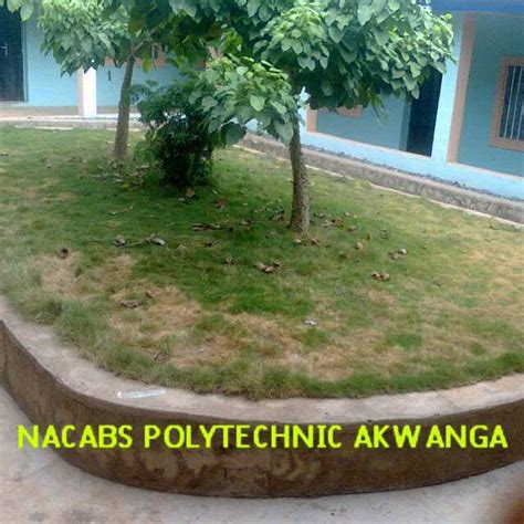 Nacabs Polytechnic Home