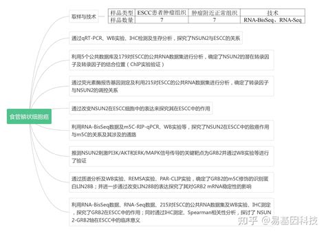 易基因｜nsun2介导rna M5c修饰促进食管鳞状细胞癌进展的表观调控机制 肿瘤研究 知乎