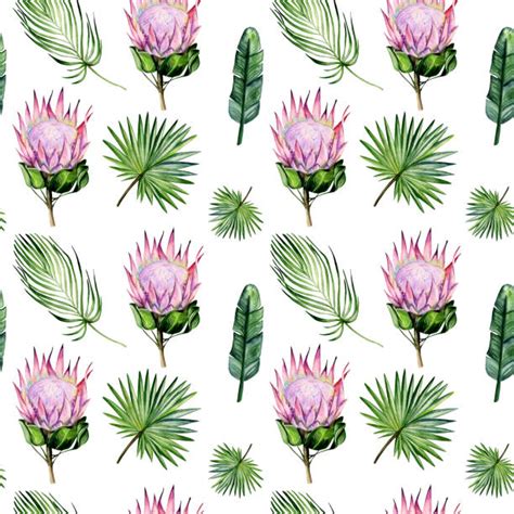 샤워 커튼 스톡 사진 및 일러스트 Istock