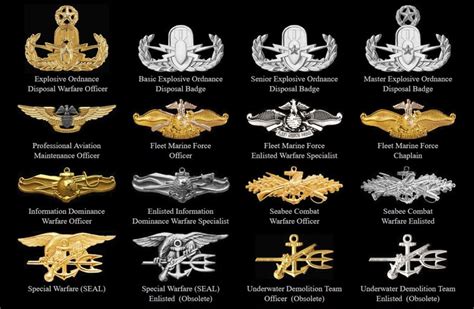Navy Badge Identification Guide Military Ranks And Insignia Military