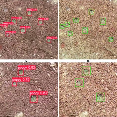 Example Of Model Inference Output At Two Plots Panels On The Left A