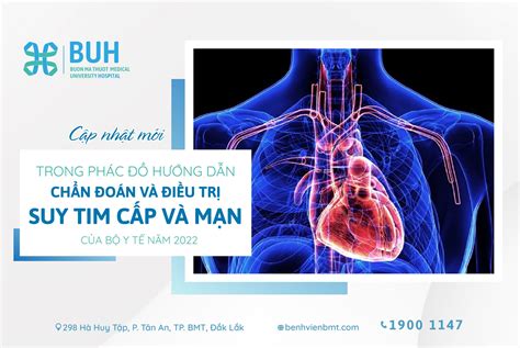 CẬP NHẬT MỚI TRONG PHÁC ĐỒ HƯỚNG DẪN CHẨN ĐOÁN VÀ ĐIỀU TRỊ SUY TIM CẤP