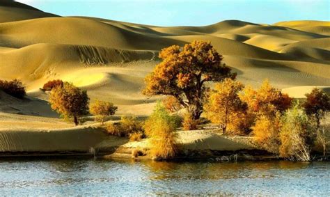 The Juyan Lake（居延海） Is Located In Ejina Of The Western Inner Mongolia