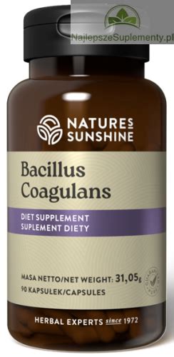 Bacillus Coagulans Nsp Najlepszesuplementy