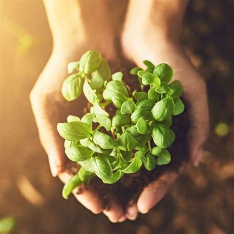 山东省蒙阴县：“五老”呵护孤困儿童成长帮扶服务离退休