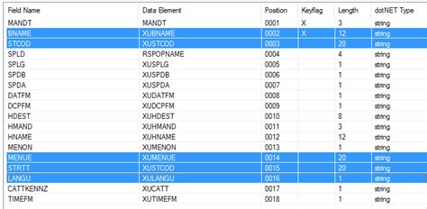 Code Generator For The Invoke Code Activity To Use Sap Rfc Function