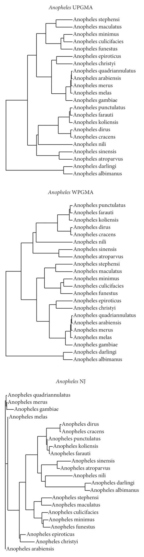 Upgma Wpgma And Nj Trees For 1−cc Values For All Species Pairs From Download Scientific