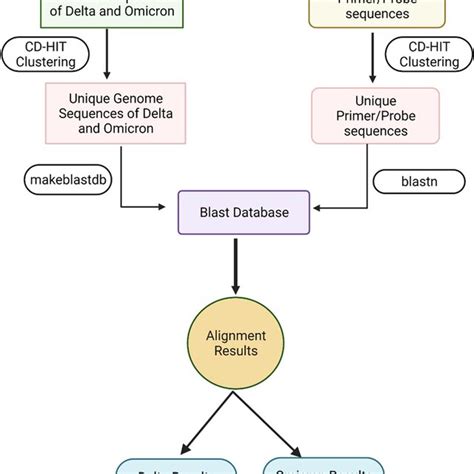Flow Chart For Primer And Probe Data Processing Details Provided In