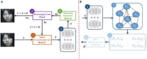 Frontiers Improving The Adversarial Transferability With Relational