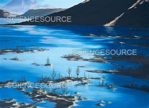 Photograph Silurian Landplants Science Source Images