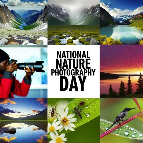 Amoware On Instagram 🌿📸 Happy National Nature Photography Day 🌿📸 Mark Your Calendars June