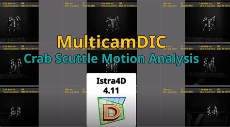 Crab Scuttle Motion Analysis In Istra4d Using Point Marker Tracking