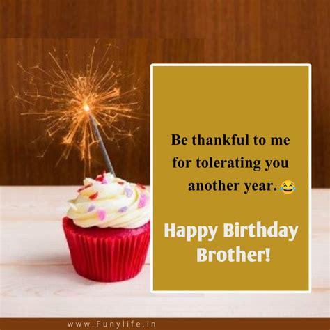 1100 Best Birthday Wishes For Brother And Birthday Messages 2026