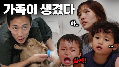 송아지와 함께 산다🔥ㅣ26살시골부부ㅣ아기반응보기ㅣ축산업ㅣ시골라이프ㅣ힐링브이로그ㅣ육아ㅣ간호하기 ㅣ농부의하루👩🏻‍🌾 Youtube