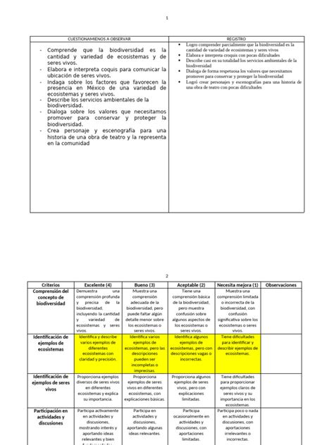 Cuestionamienos A Observar P Royecto De Jardin 1 Proyecto De Saberes Pdf