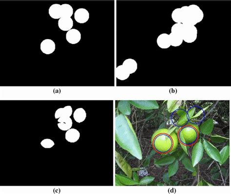 0 Merging Procedure For Multiple Detections And False Positive Removal
