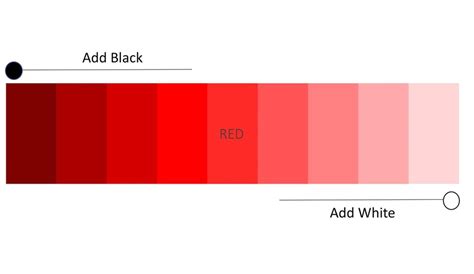 Monochromatic Colour Schemes Ask The Experts Lick