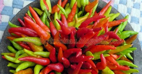 Citras Home Diary Sambal Badjak Sambal Bajak Indonesian