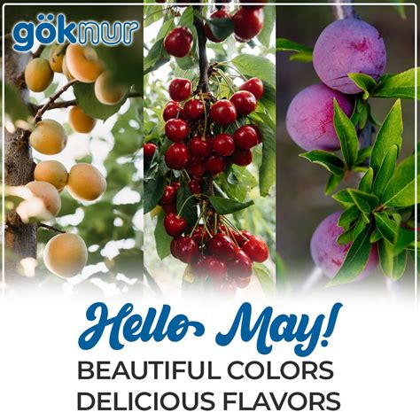 Adnan Akram Posted On Linkedin