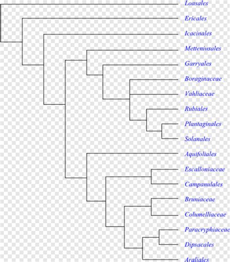 Data Icon Dna Dna Strand 547875 Free Icon Library