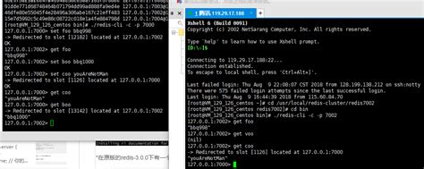 Redis缓存集群介绍高速缓存集群是什么 Csdn博客