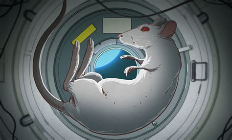 Artificial Gravity In Space